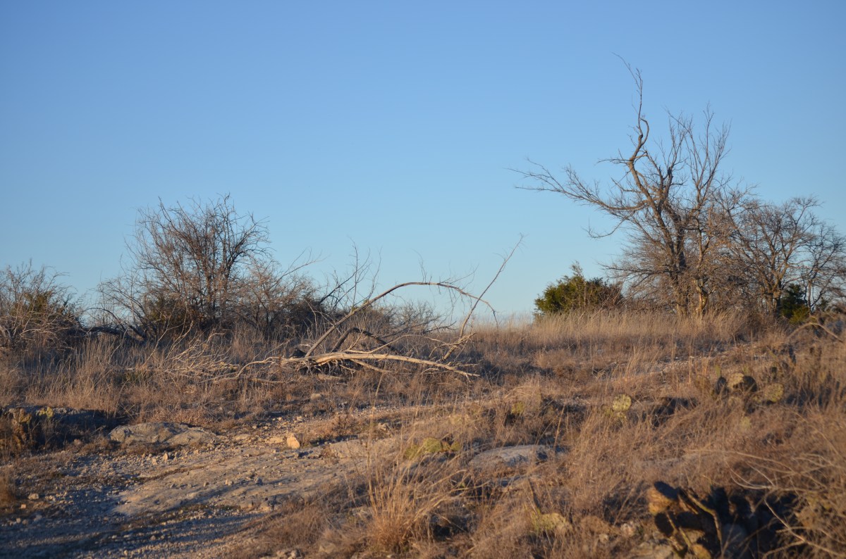 Contact Us – Chapman Ranch